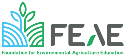 FEAE – FEAE